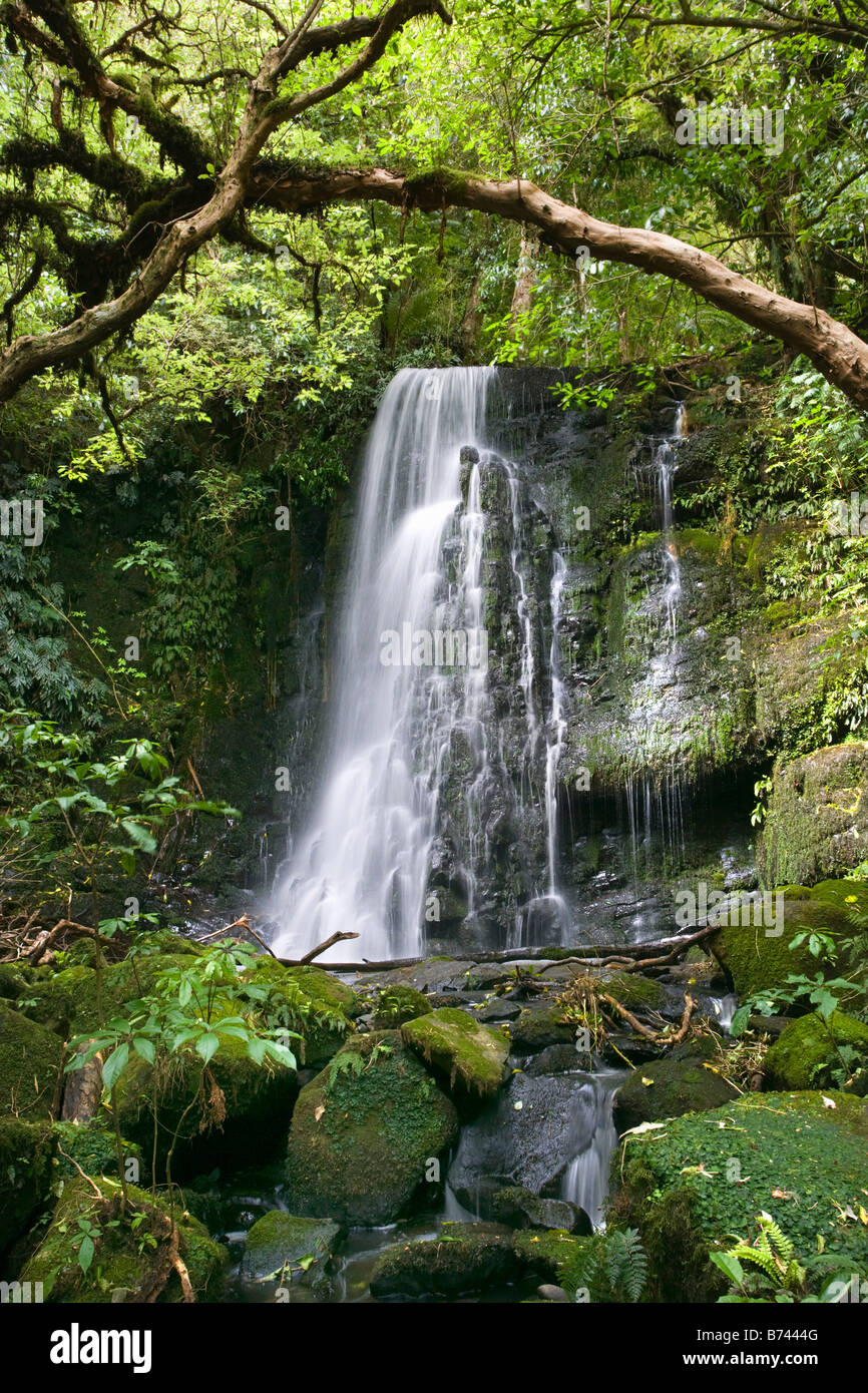 New Zealand, South Island, The Catlins, Papatowai, Matai Falls Stock ...