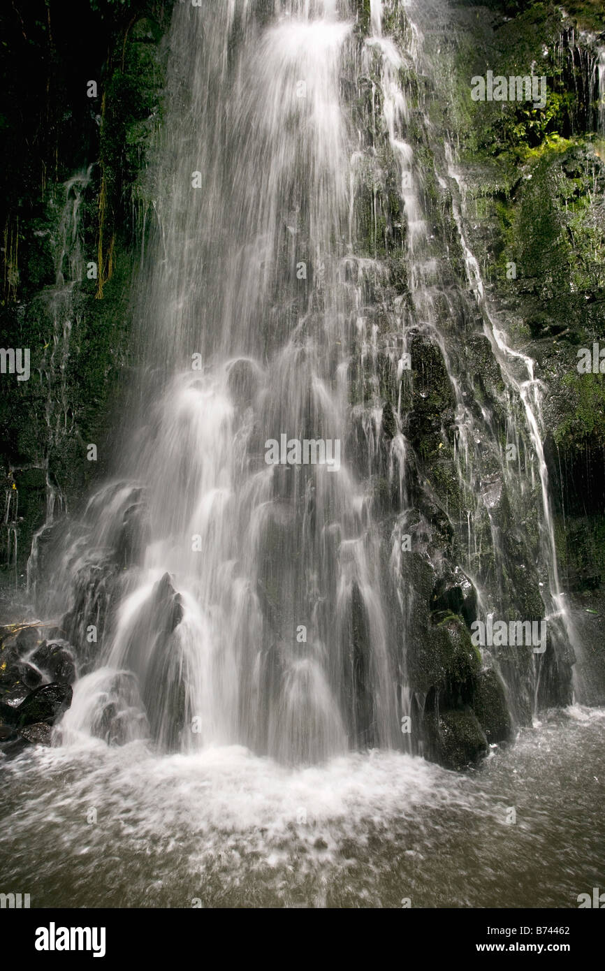New Zealand, South Island, The Catlins, Papatowai, Matai Falls Stock ...