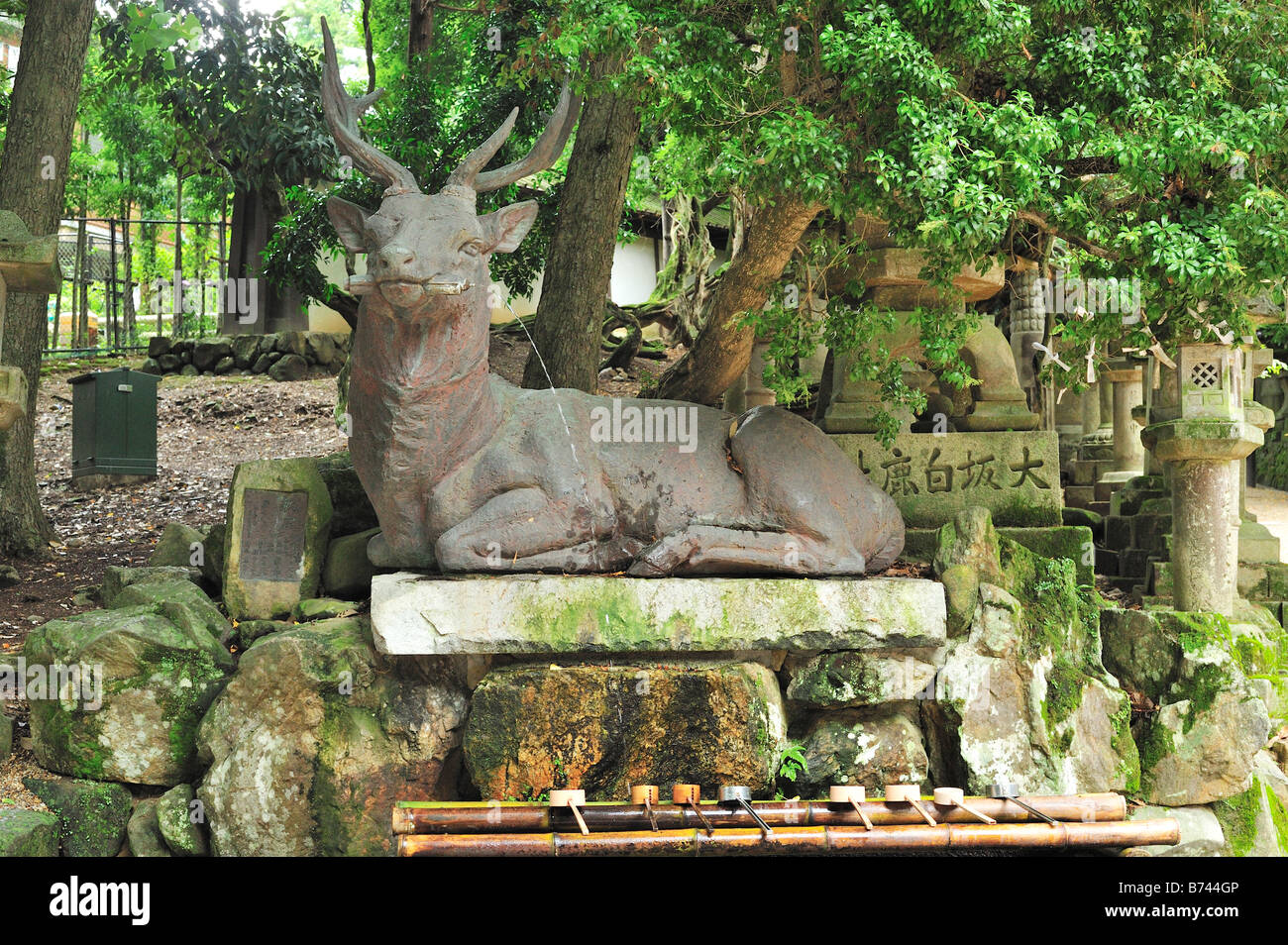 Nara Koen, Nara City, Nara Prefecture, Kansai, Honshu, Japan Stock ...
