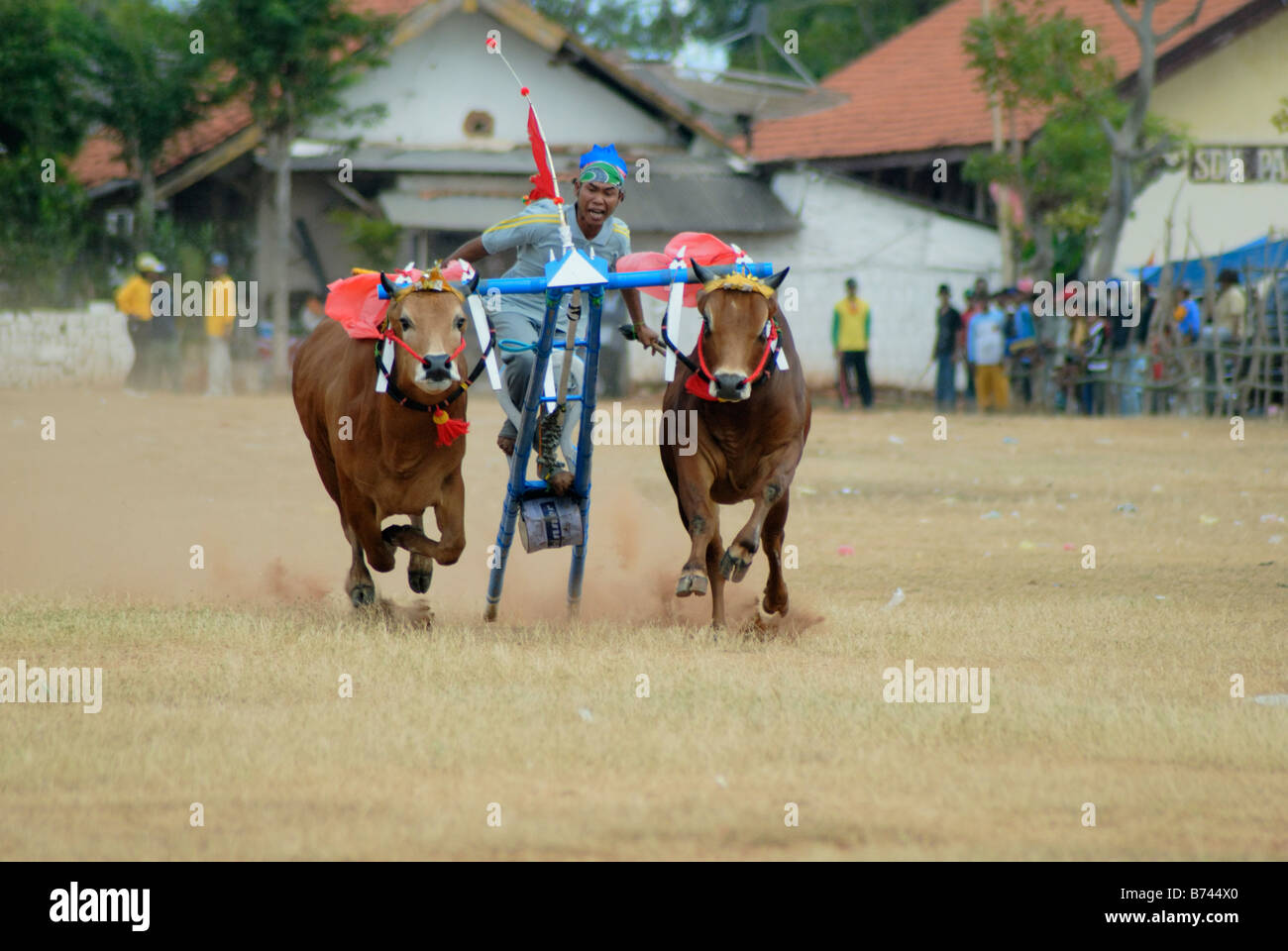 Madurese art and culture hi-res stock photography and images - Alamy