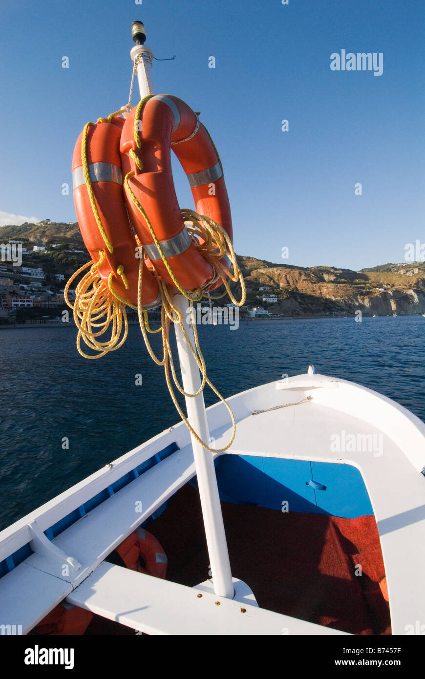 Sea Life Belts High Resolution Stock Photography and Images - Alamy