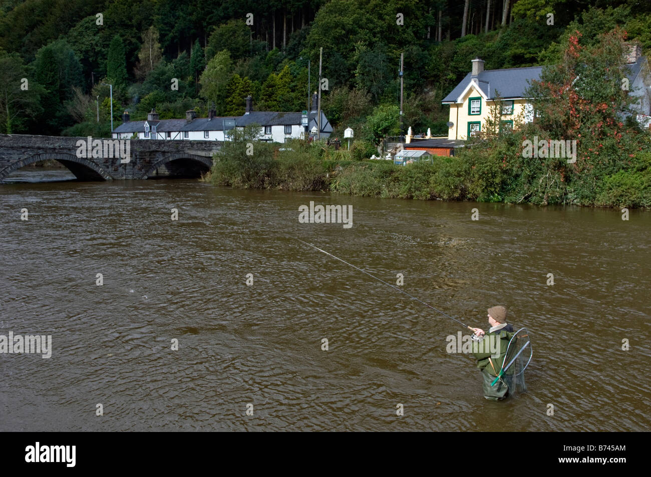 Angler fishing for salmon on the River Dovey at Dyfi Bridge Machynlleth ...