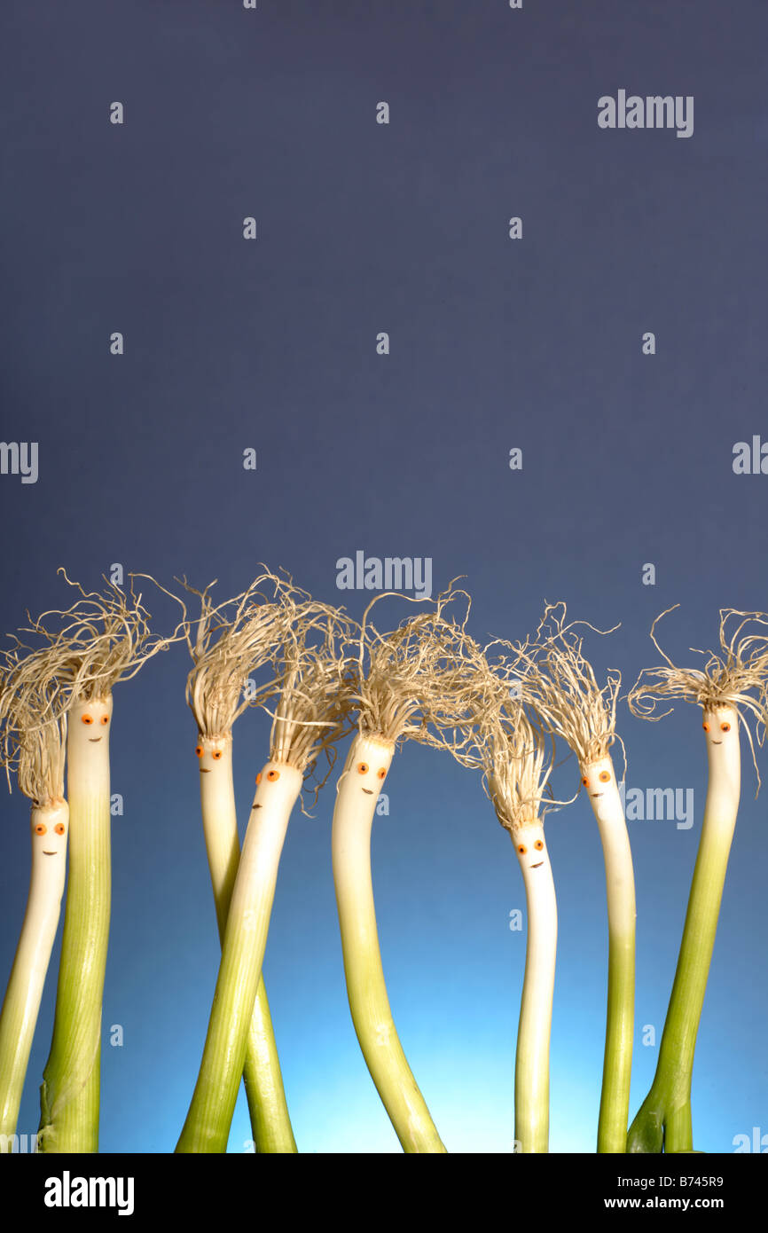 spring onion on party Stock Photo - Alamy