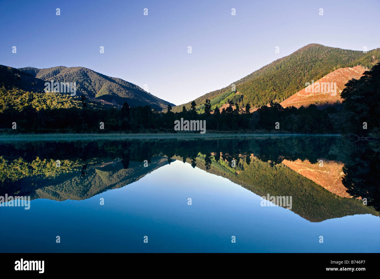 New Zealand, South Island, Saint Arnaud, Nelson lakes National Park ...