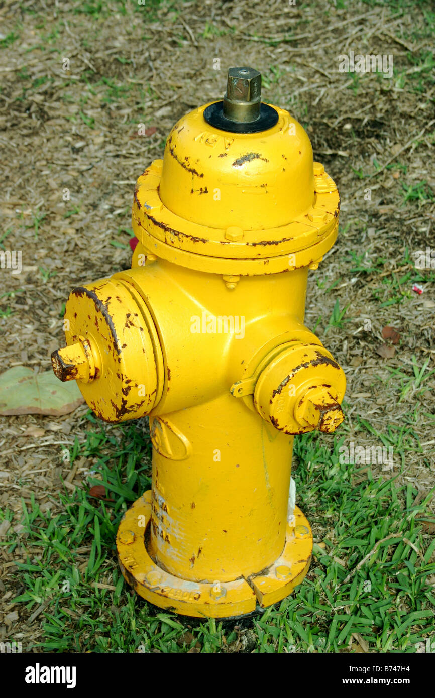 US fire hydrant in the state of Florida Stock Photo - Alamy