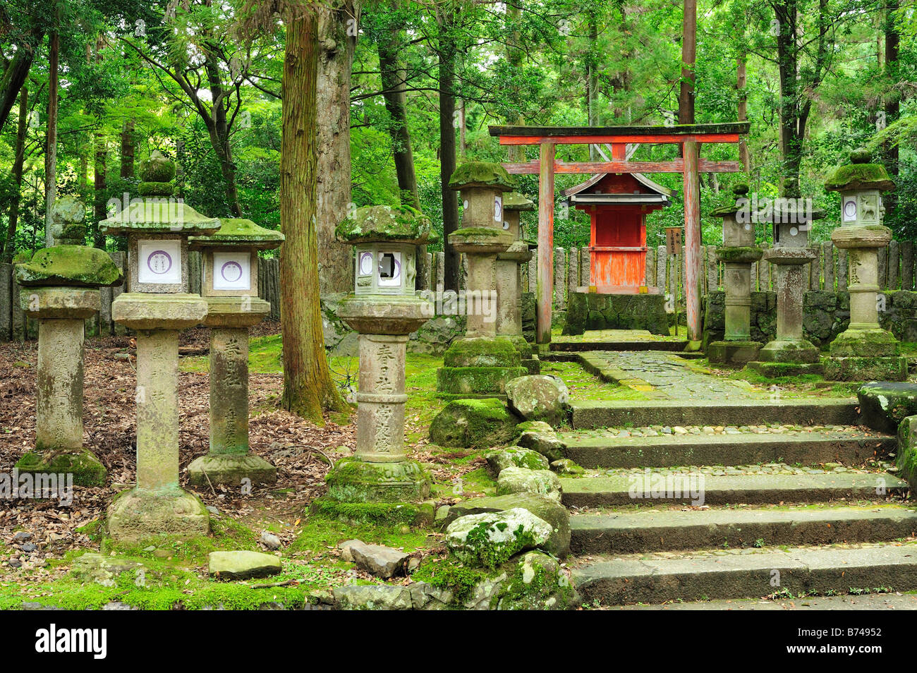 Nara kouen hi-res stock photography and images - Alamy