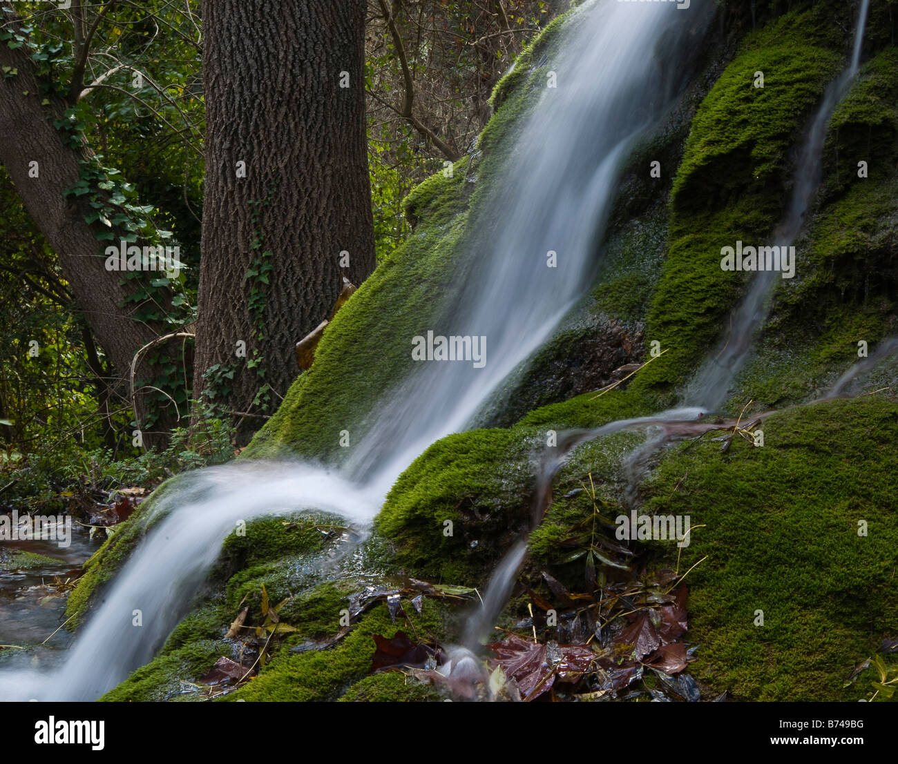 Mallorca Sa Granja country house gardens Autumn November waterfall in ...