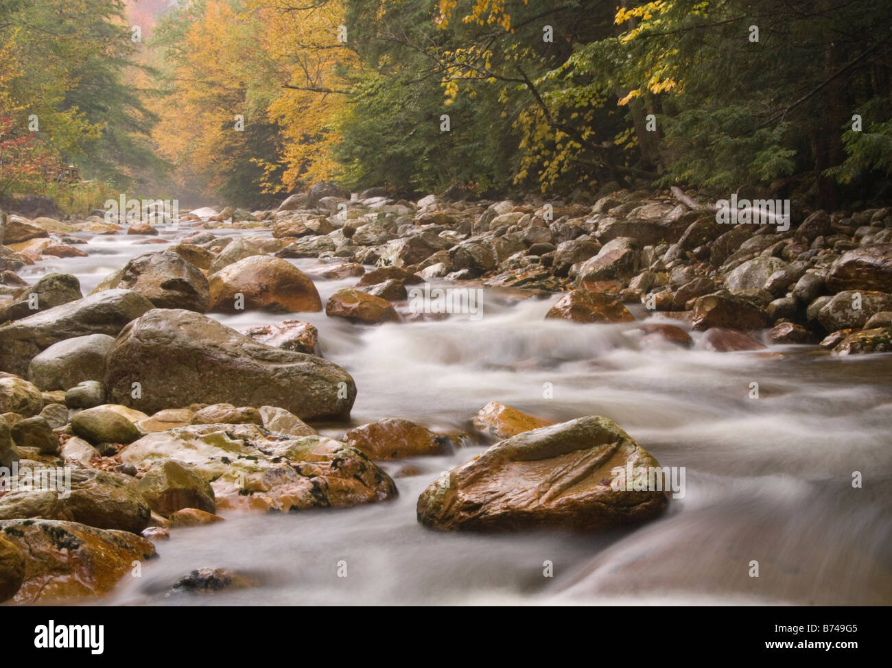Roaring Branch Stream, Green Mountain National Forest, Vermont Stock ...