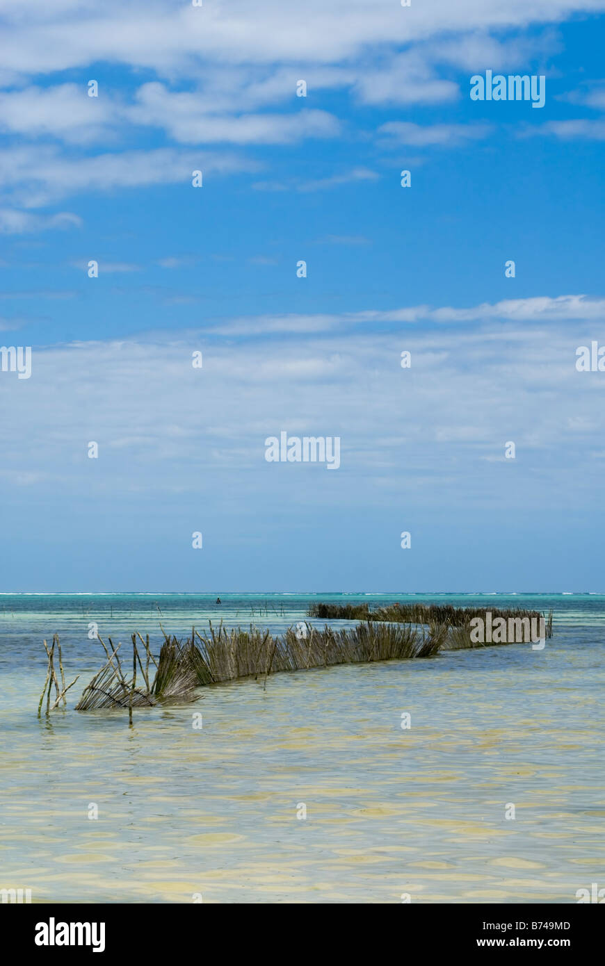 A fish trap set in the shallows off the Eastern coast of Paje Village ...