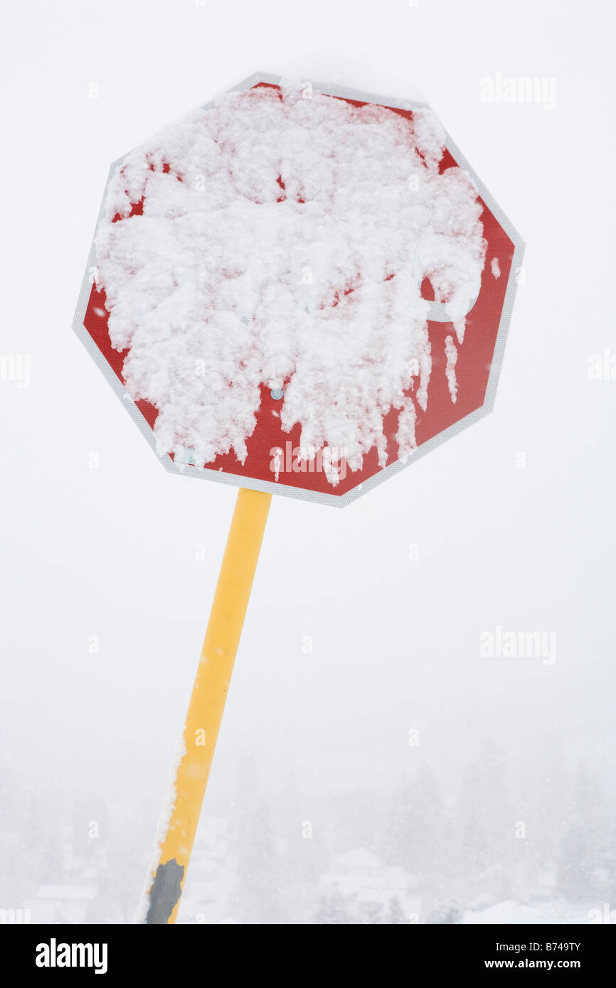Octagon stop sign hi-res stock photography and images - Alamy