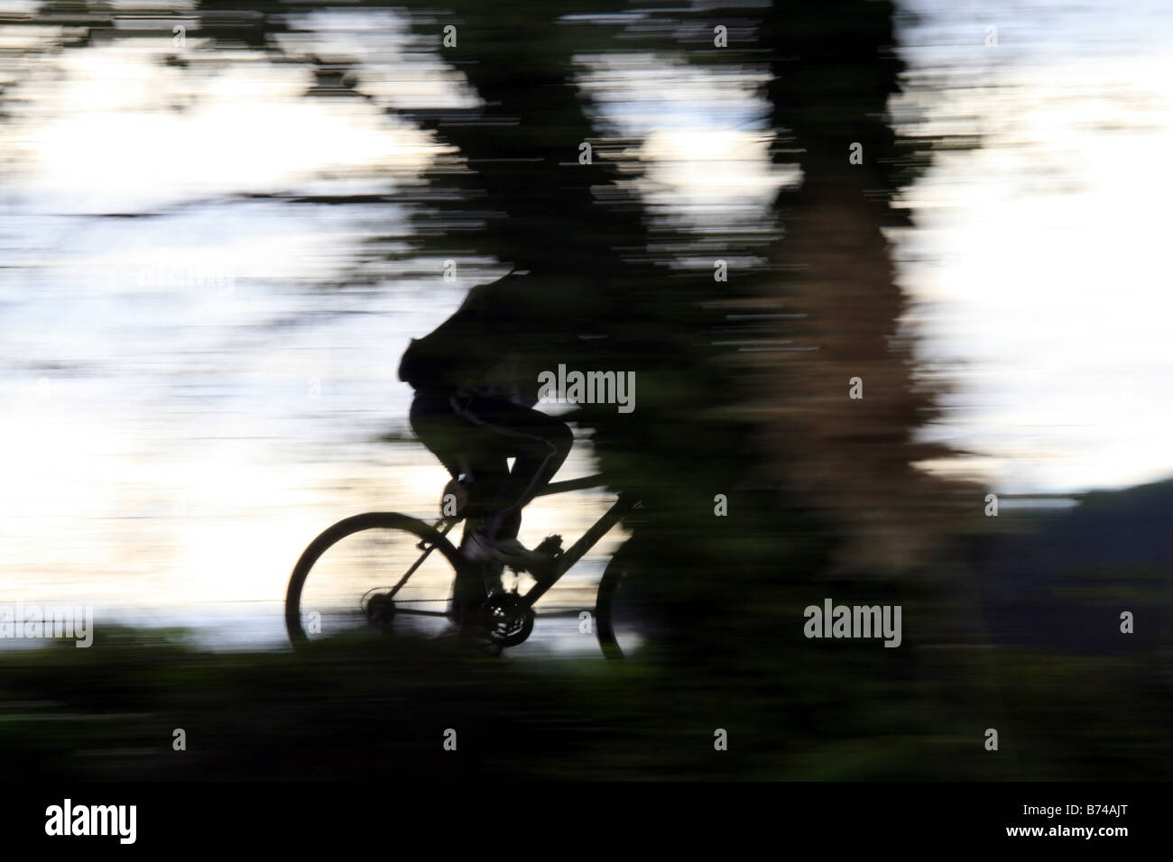 Park morning light man on bike hi-res stock photography and images - Alamy