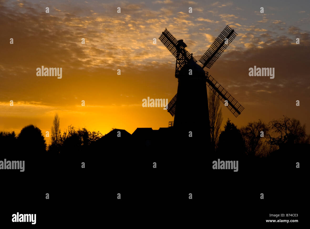 Denver Norfolk High Resolution Stock Photography and Images - Alamy