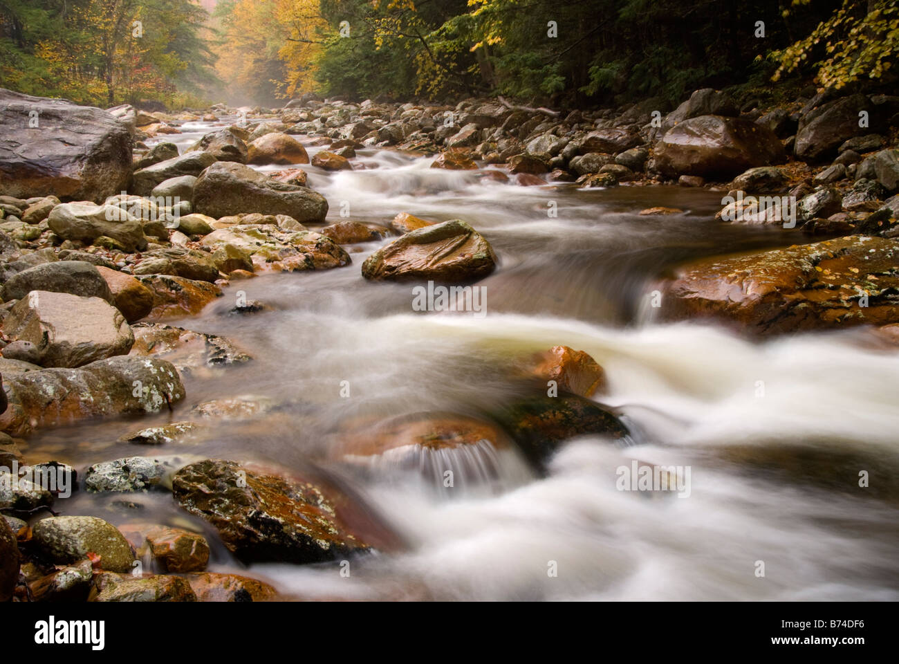 Roaring Branch Stream, Green Mountain National Forest, Vermont Stock ...