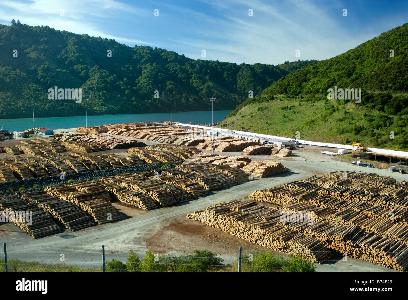 New Zealand, South Island, Picton, wood in harbour Stock Photo - Alamy