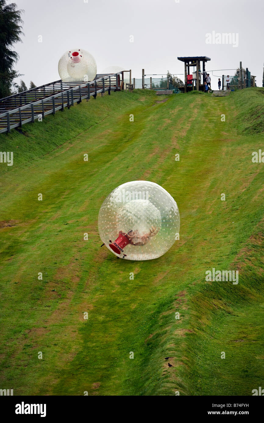 Zorbing rotorua hi-res stock photography and images - Alamy
