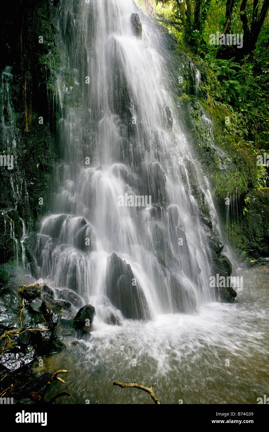 New Zealand, South Island, The Catlins, Papatowai, Matai Falls Stock ...