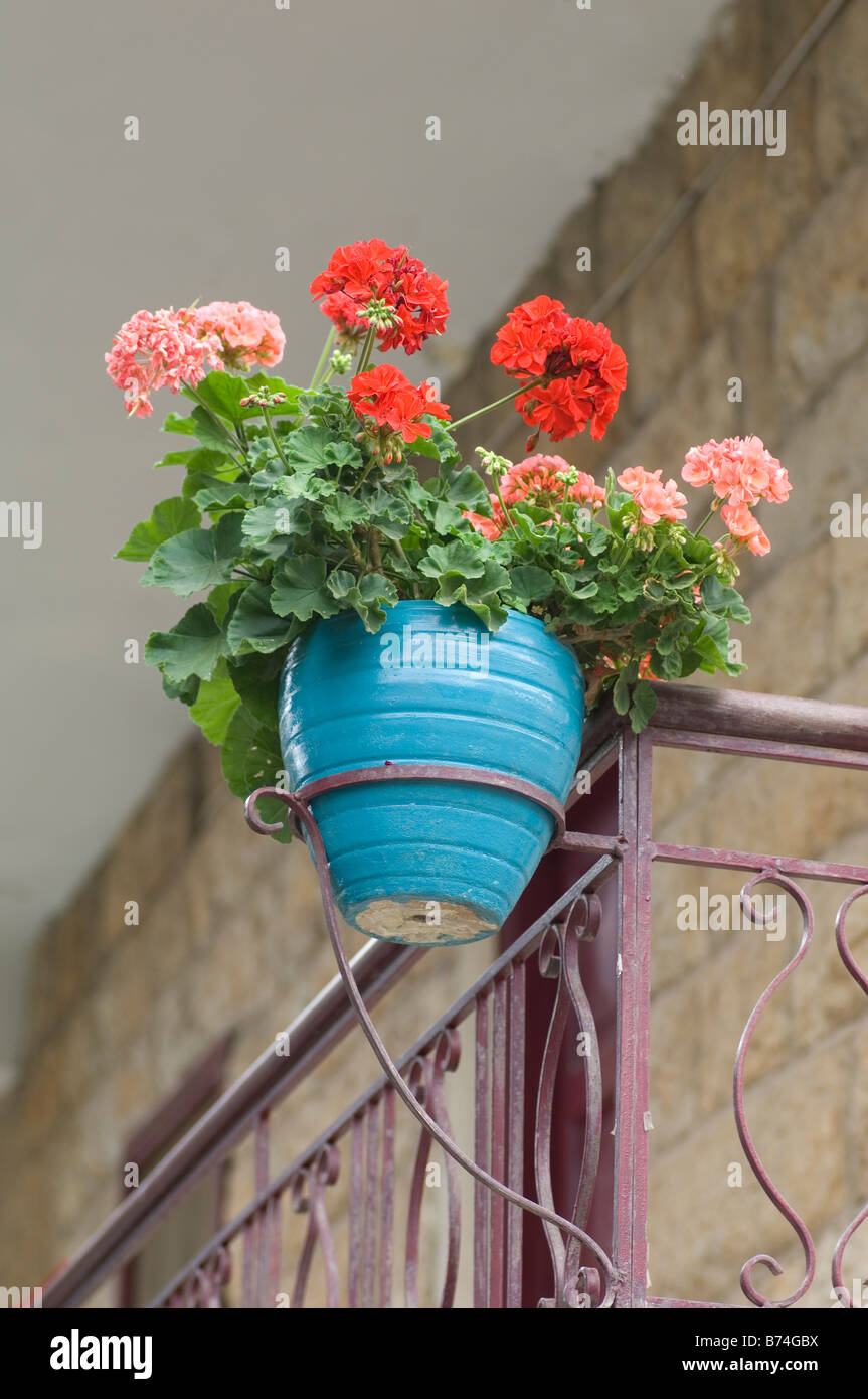 Blue flower pot on balcony Lebanon Middle East Stock Photo - Alamy