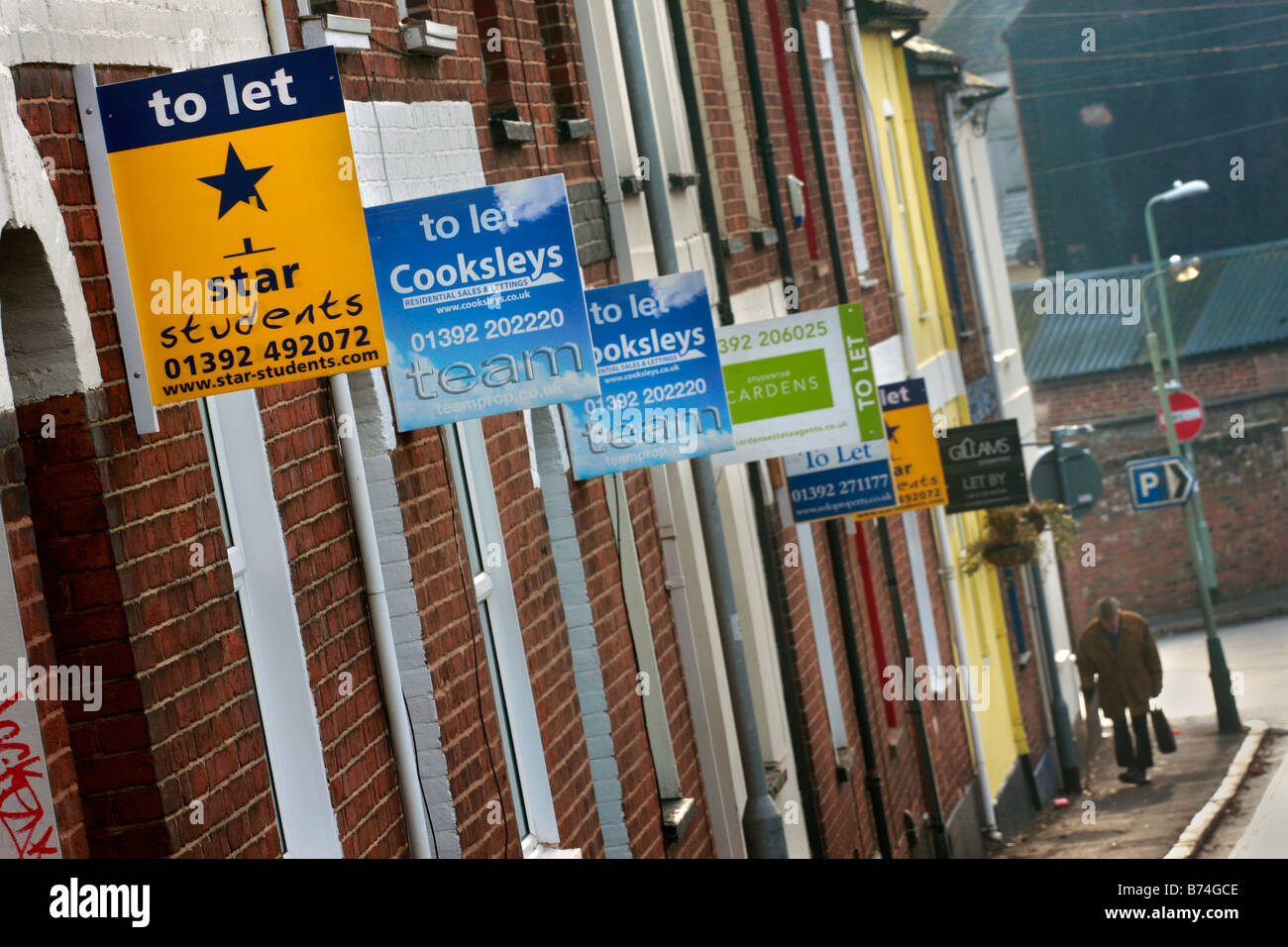Numerous 'To Let' signs on a street in Exeter Stock Photo - Alamy