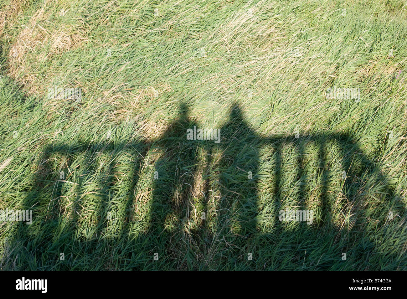 Balcony grass hi-res stock photography and images - Alamy