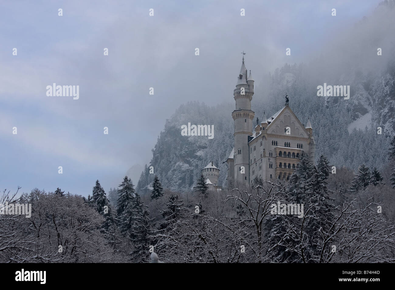 Neuschwanstein Castle near Fussen Germany Stock Photo - Alamy