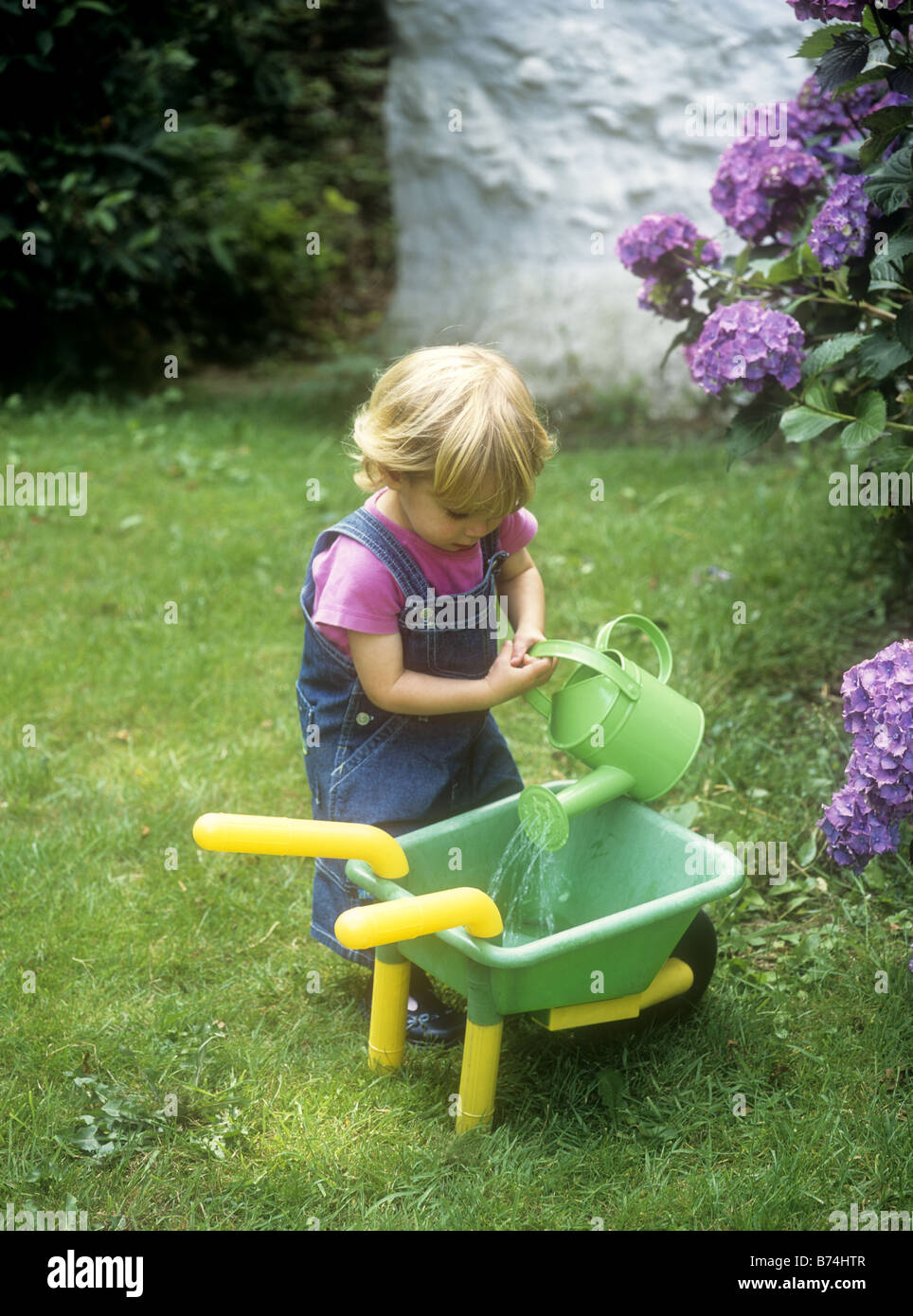 Toddler playing with watering can and wheelbarrow in a garden Stock ...