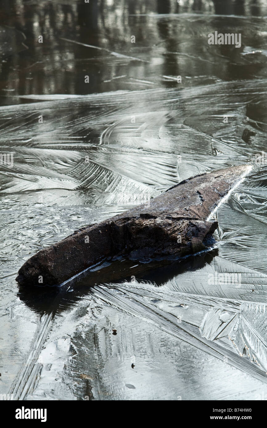 A log embedded in ice on a frozen lake Stock Photo - Alamy