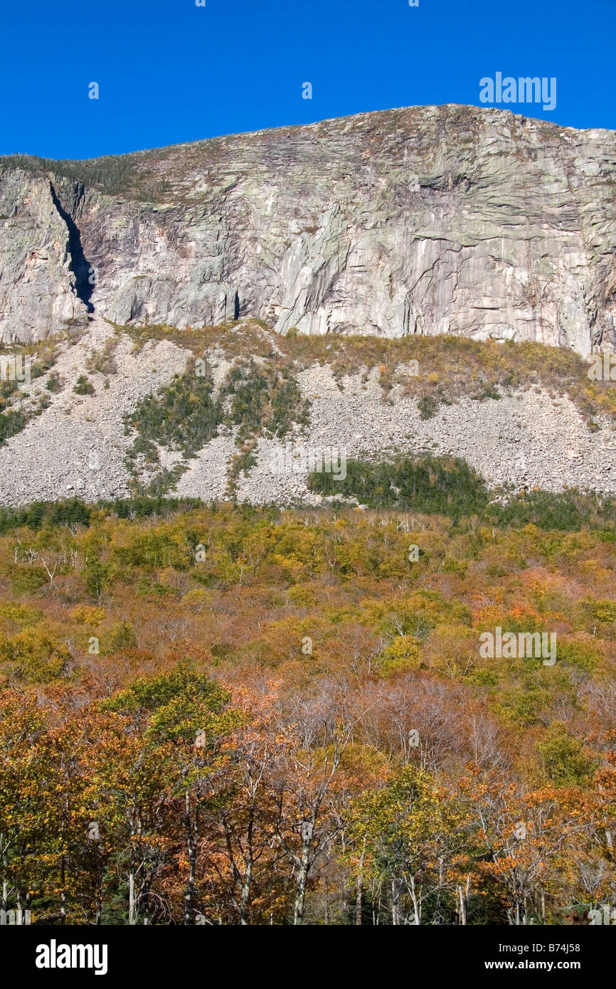 Fall foliage at Cannon Mountain a peak in the White Mountains located ...