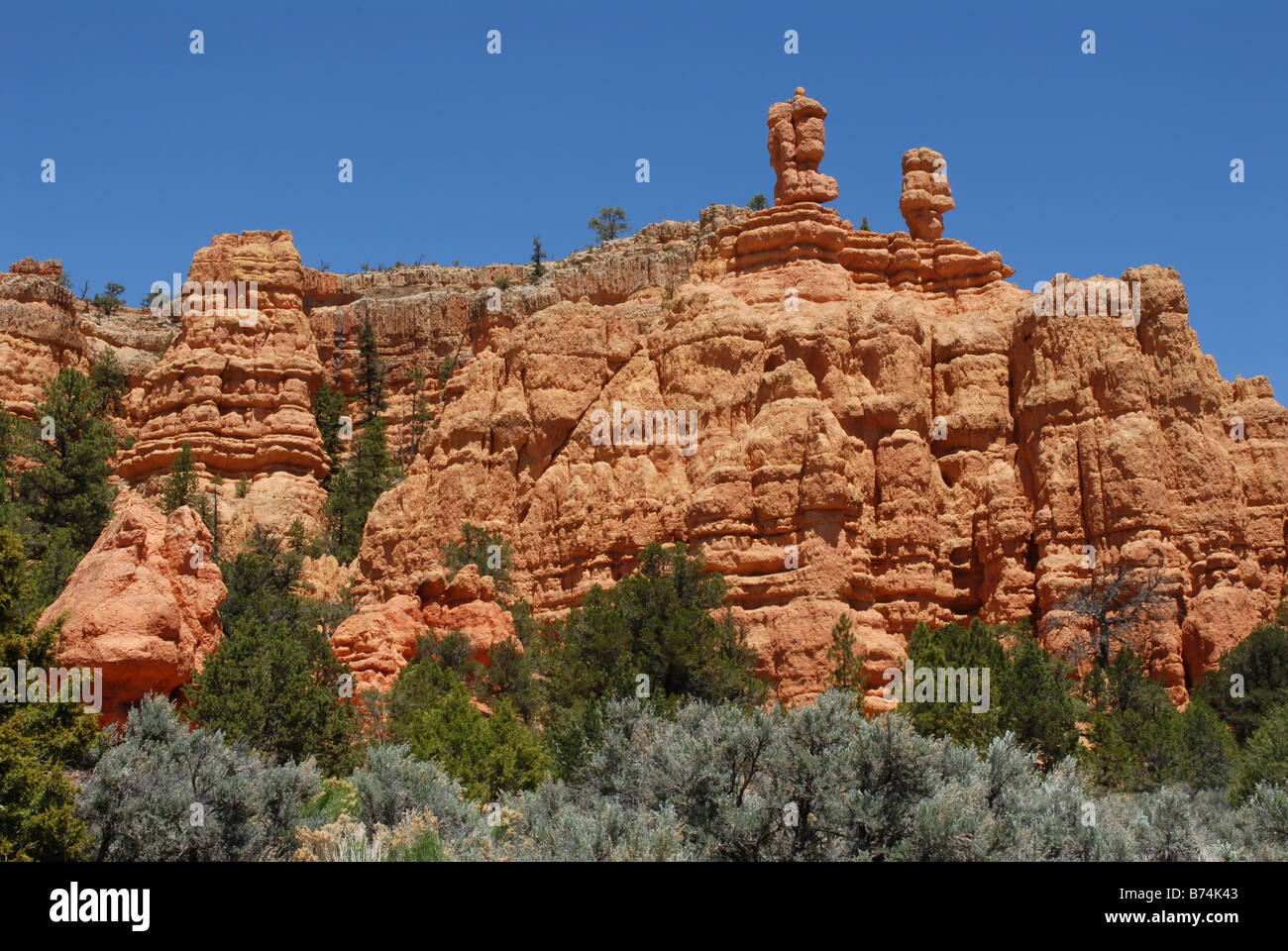 Contrastclose hi-res stock photography and images - Alamy