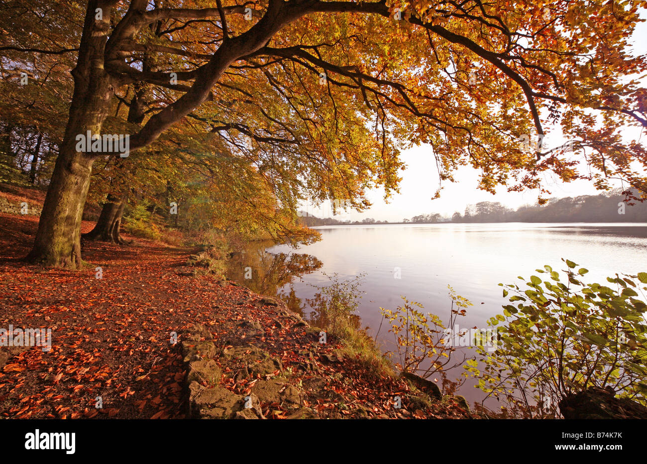 Knypersley pool hi-res stock photography and images - Alamy