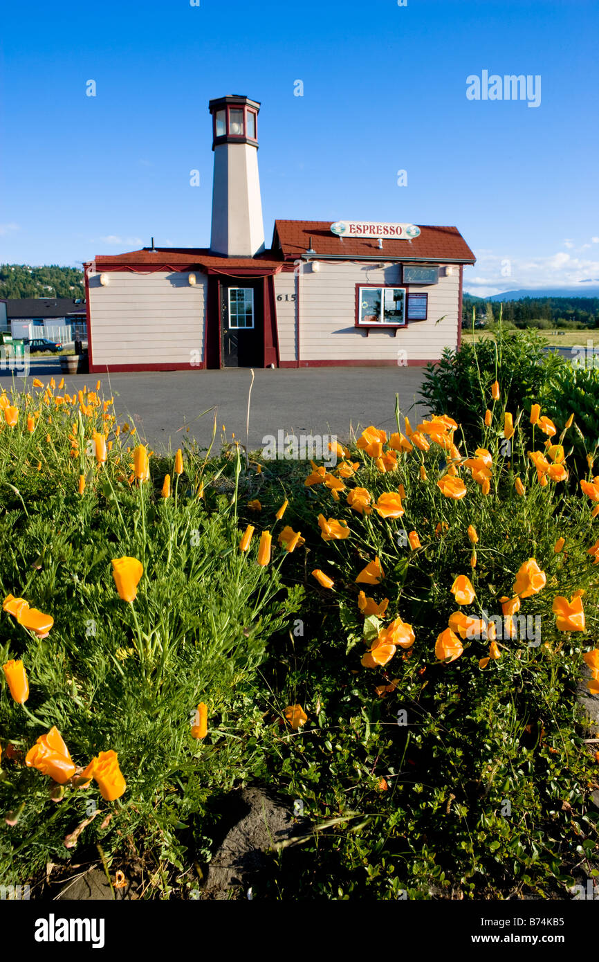Coffee takeaway drive thru cafe, Sequim, Washington, USA Stock Photo ...