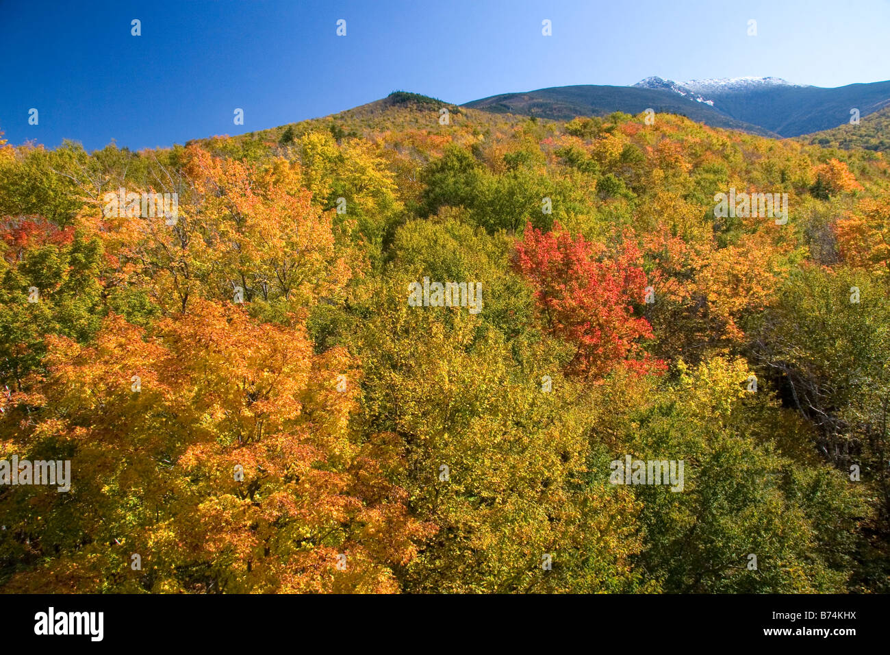 Scenic view of fall foliage and Mount Lafayette from Franconia Notch ...