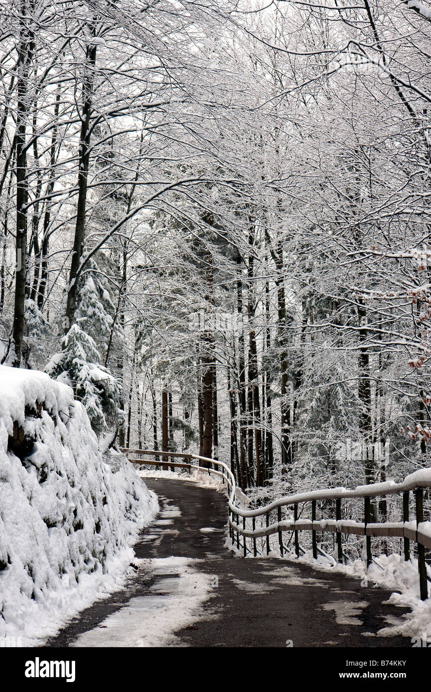 Snowy pathway around Neuschwanstein Castle in Fussen Bavaria Germany ...