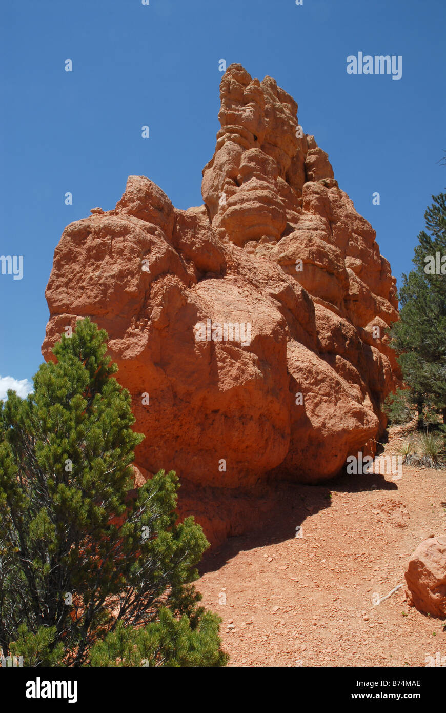 Bryce Canyon National Park Stock Photo - Alamy