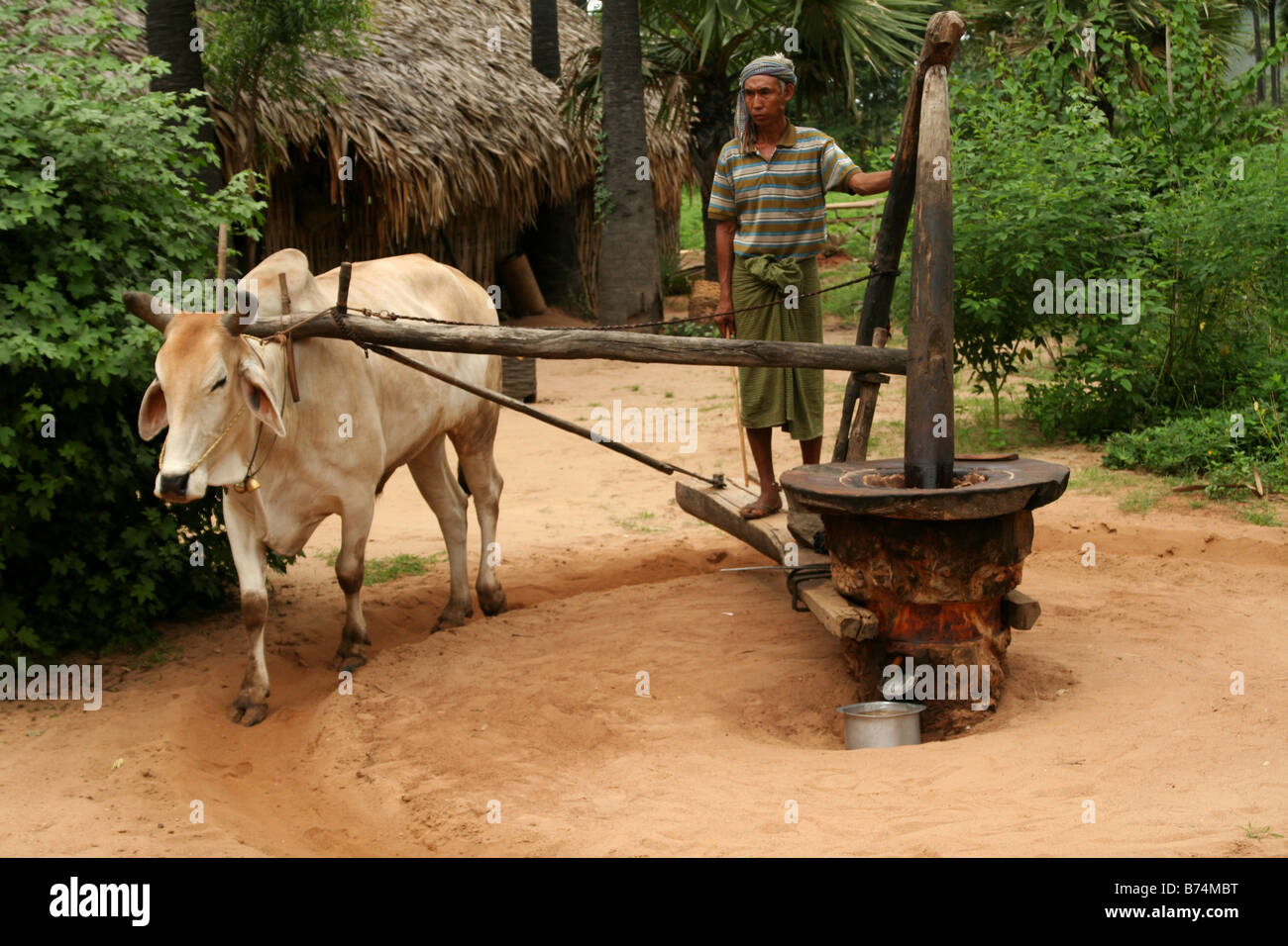 myanmar burma rural scene of farmer life Stock Photo - Alamy