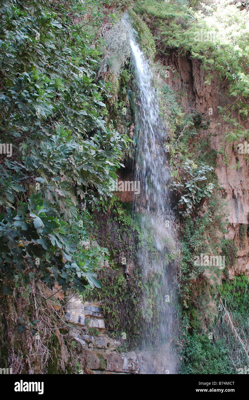 Israel Judaea Desert Ein Gedi Nahal David waterfall Stock Photo - Alamy