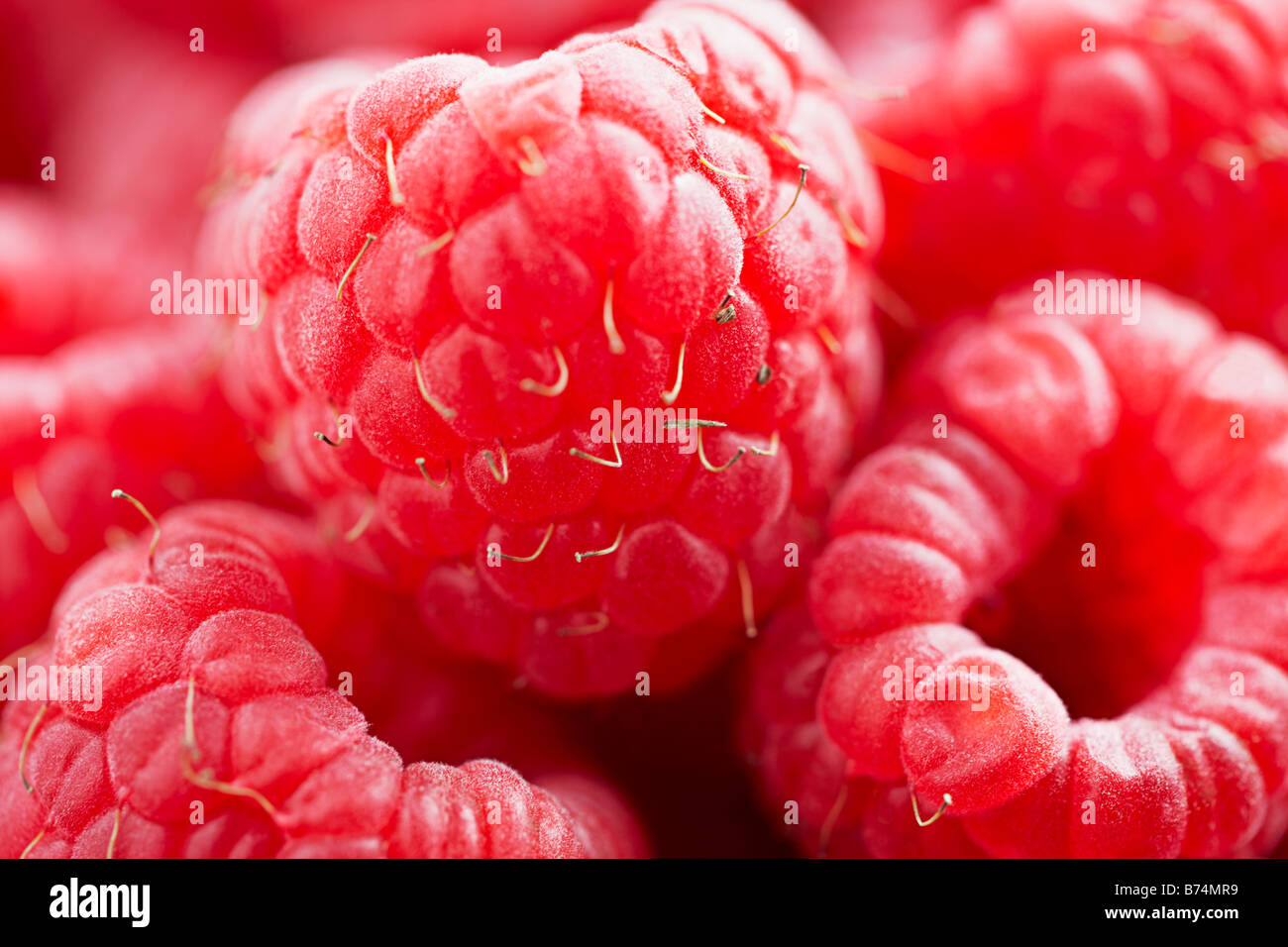 Fresh whole raspberries hi-res stock photography and images - Alamy