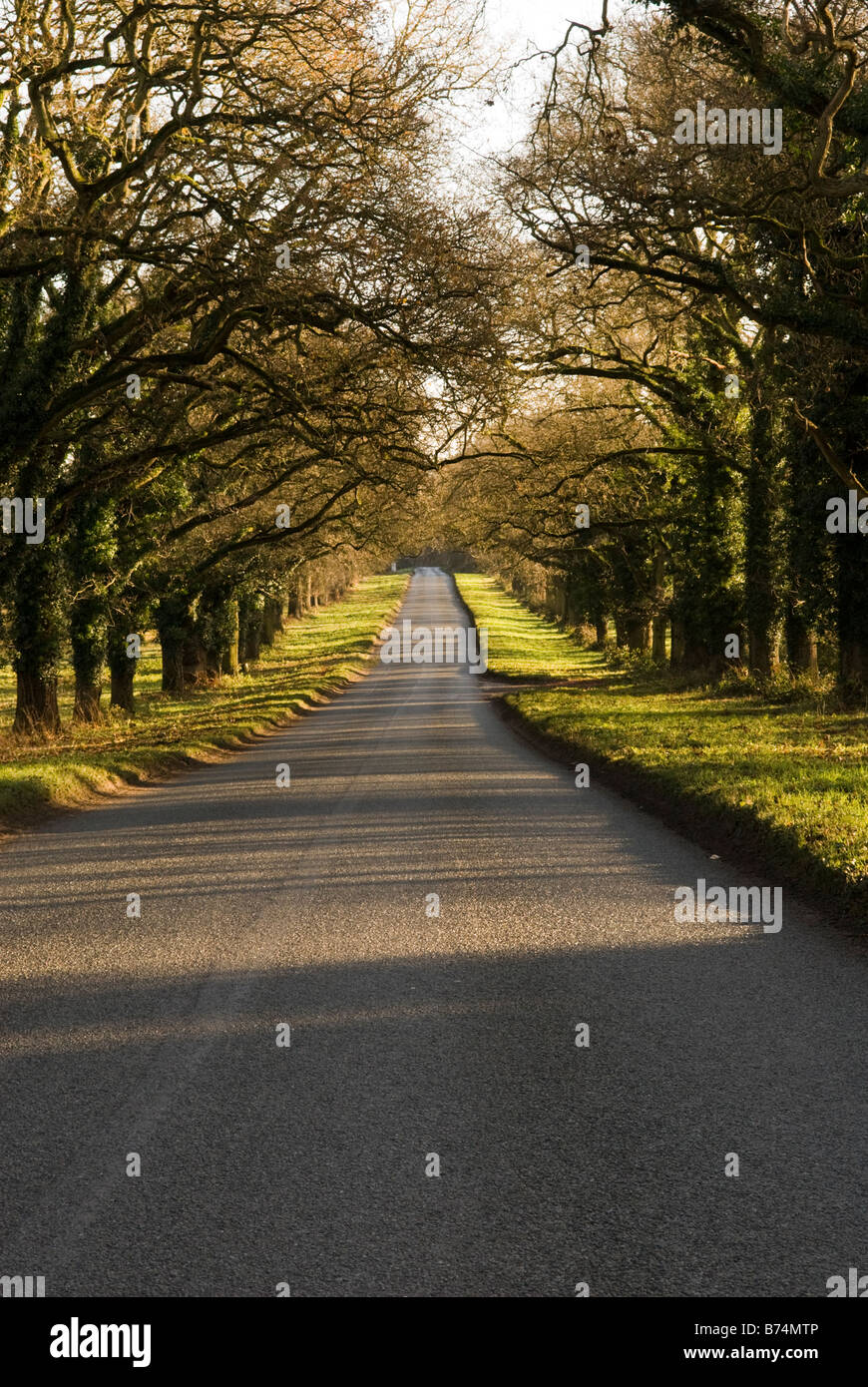 Barnham road hi-res stock photography and images - Alamy