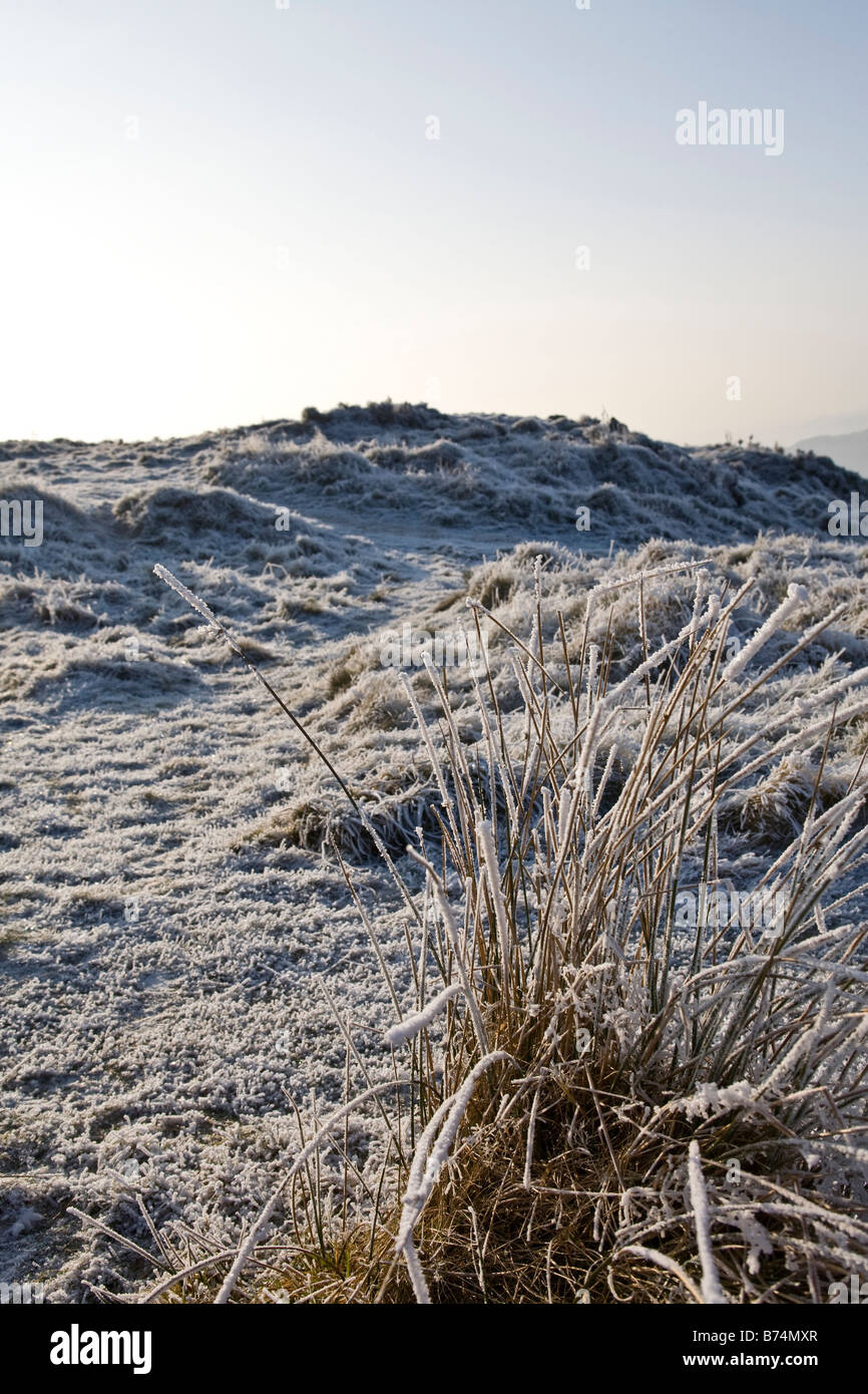 Frosty grass on mountain hi-res stock photography and images - Alamy
