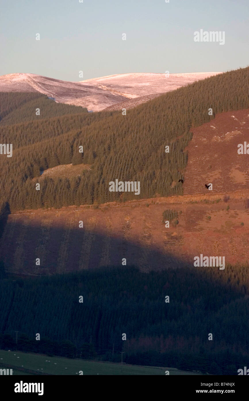 Valley tweed border hi-res stock photography and images - Alamy