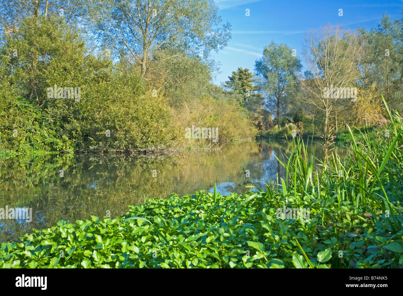 River Kennet at Aldermaston Near Reading Berkshire Uk Stock Photo - Alamy