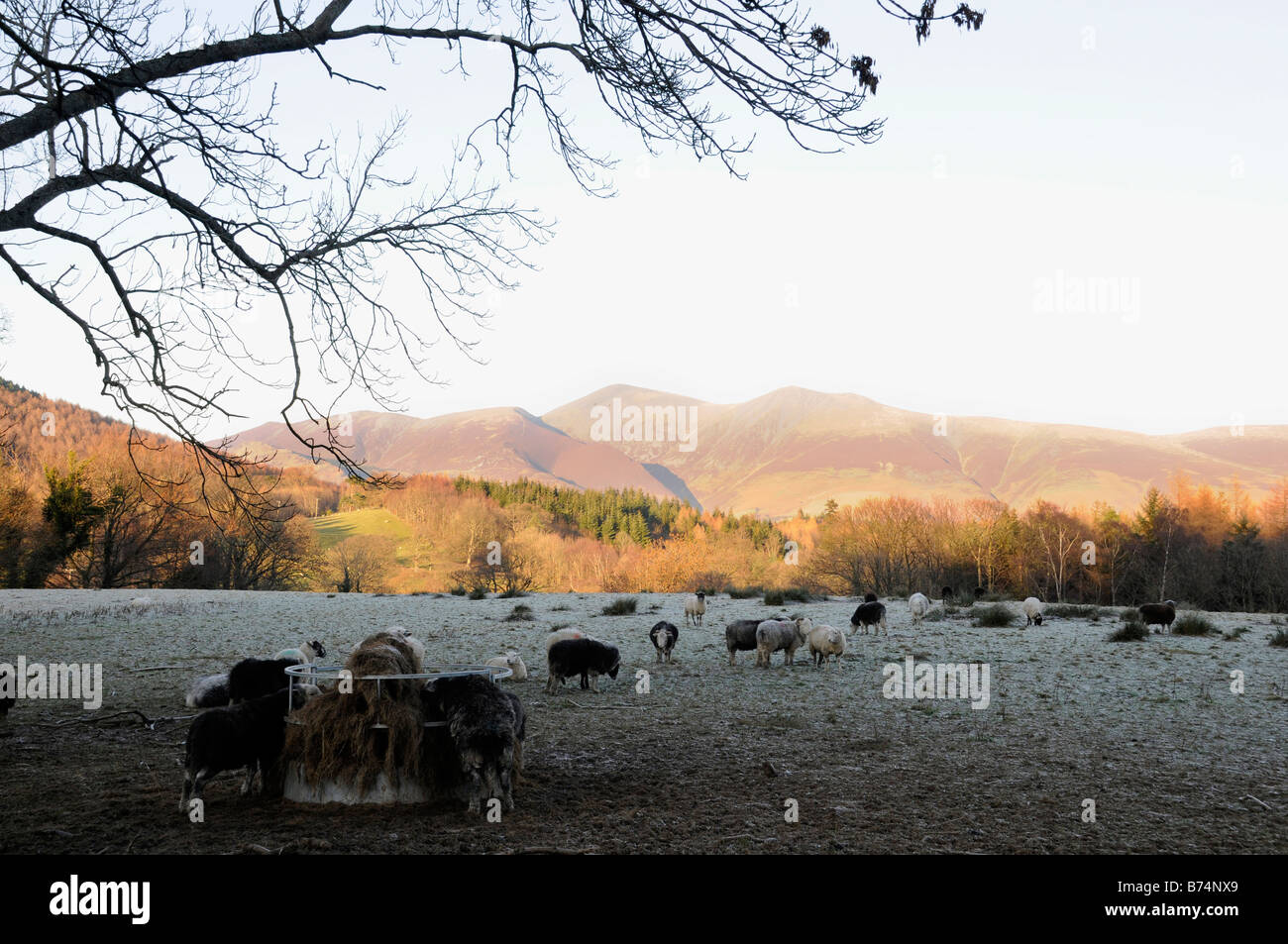 The Lake District in Cumbria famous for its walking Derwent Water in ...