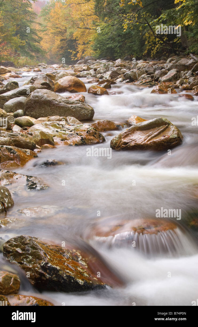 Roaring Branch Stream, Green Mountain National Forest, Vermont Stock ...