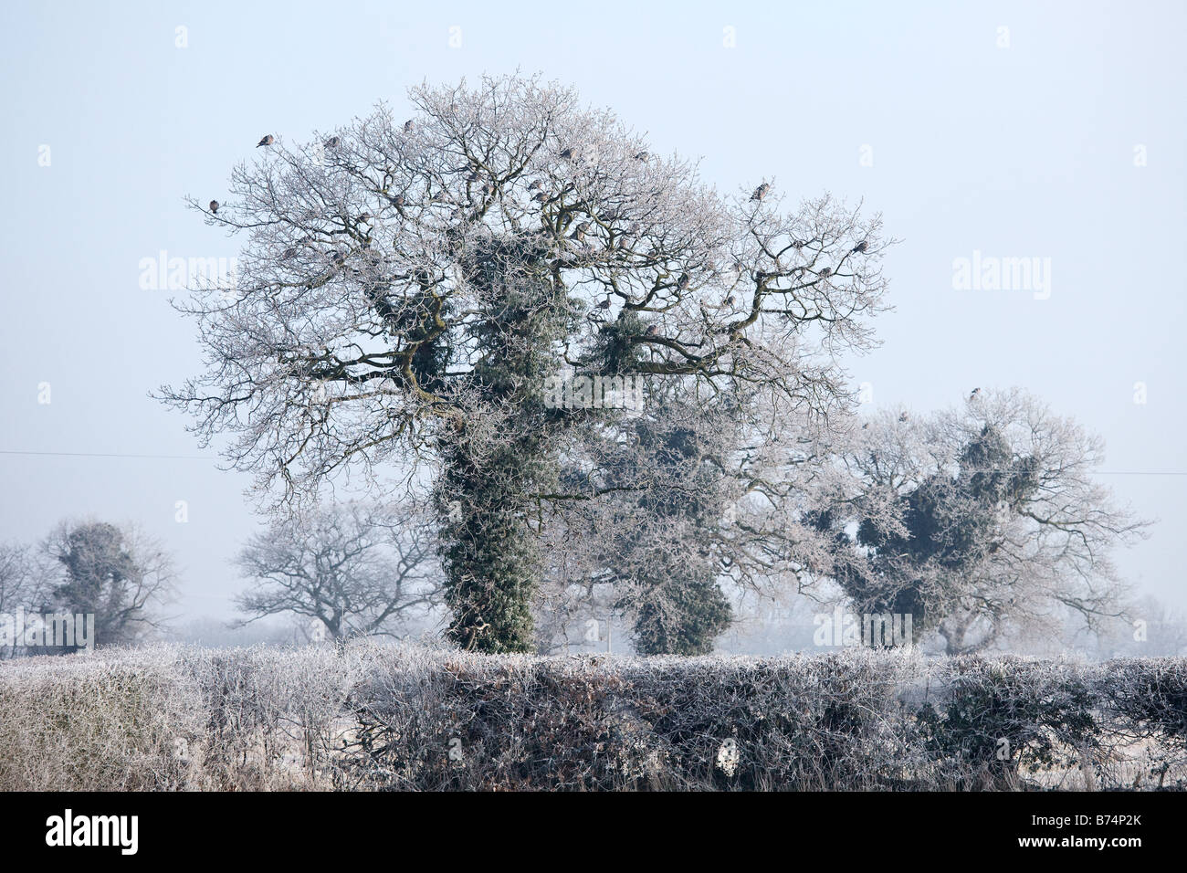 Cold case cards hi-res stock photography and images - Alamy