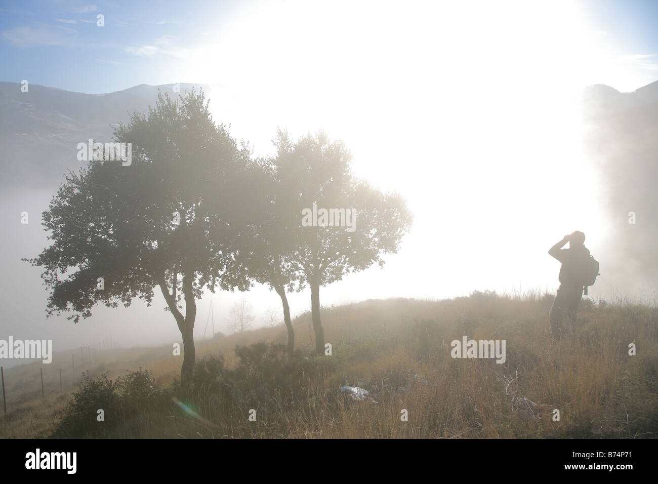 man and oak tree on mountain range Stock Photo - Alamy