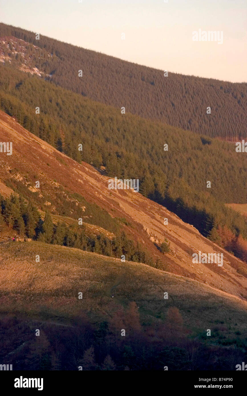 Sunset colours in the Tweed Valley, Borders, Scotland Stock Photo - Alamy