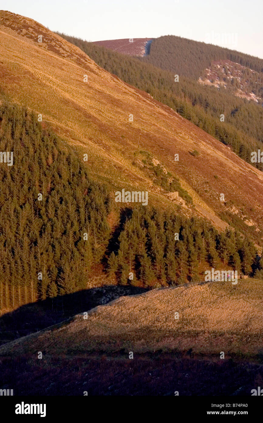 Sunset colours in the Tweed Valley, Borders, Scotland Stock Photo - Alamy