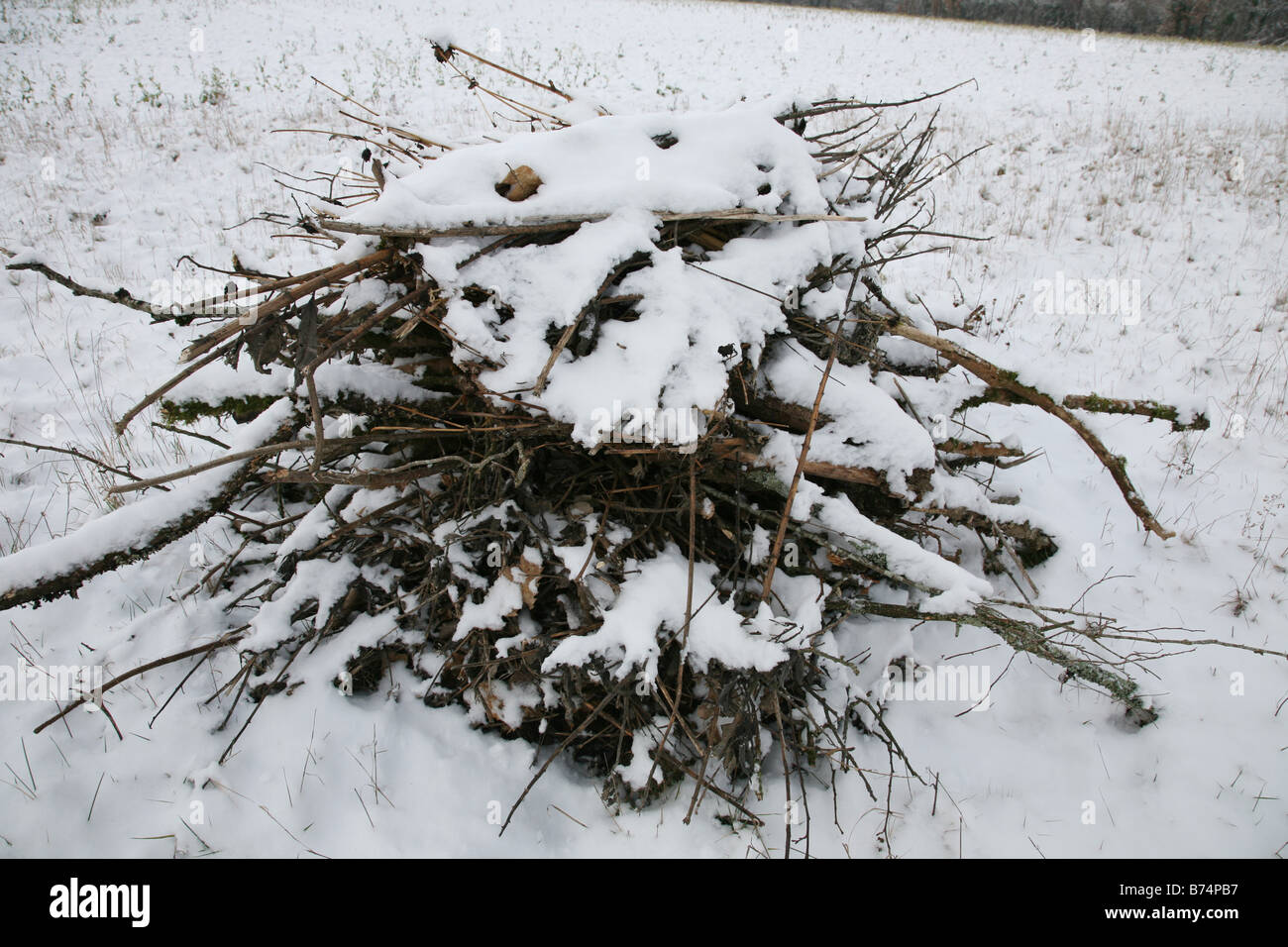 A bonfire covered in snow Stock Photo - Alamy