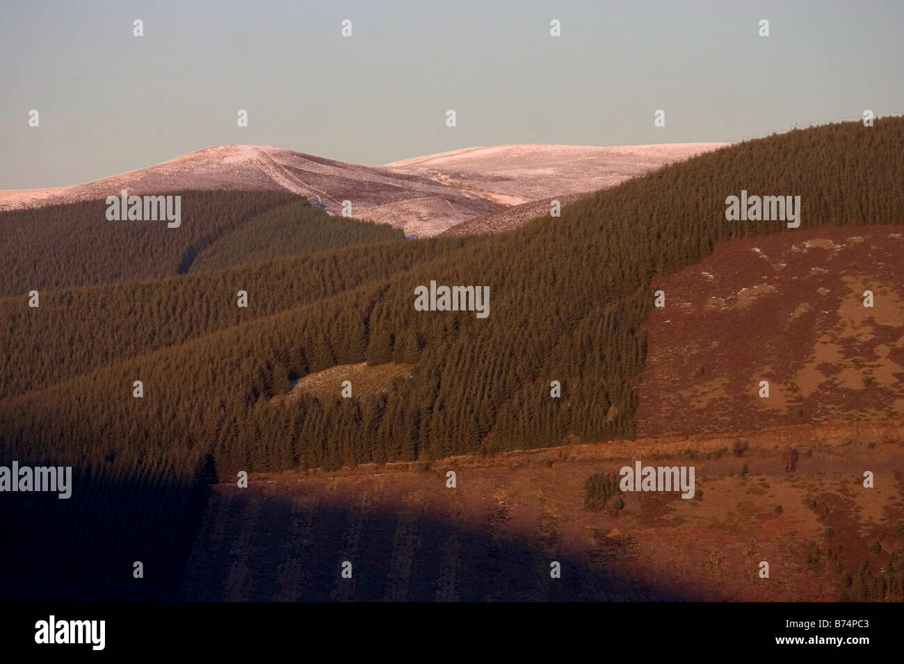 Sunset colours in the Tweed Valley, Borders, Scotland Stock Photo - Alamy