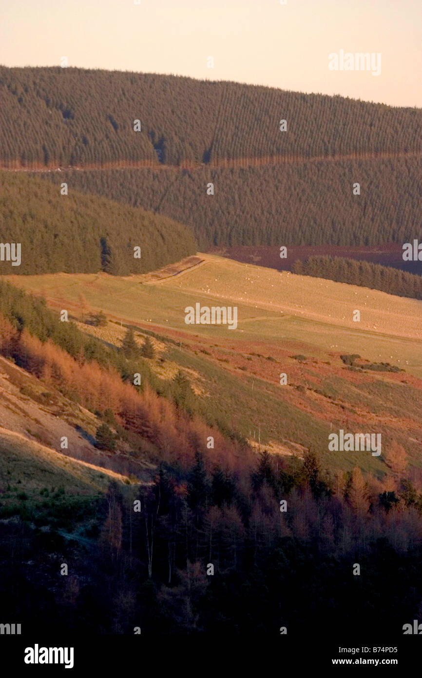 Sunset colours in the Tweed Valley, Borders, Scotland Stock Photo - Alamy