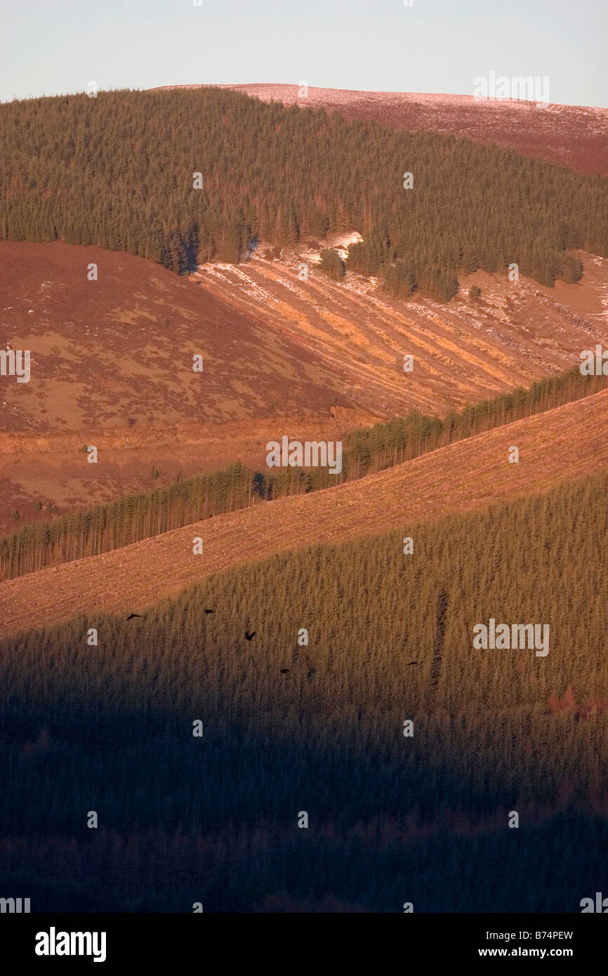 Sunset colours in the Tweed Valley, Borders, Scotland Stock Photo - Alamy